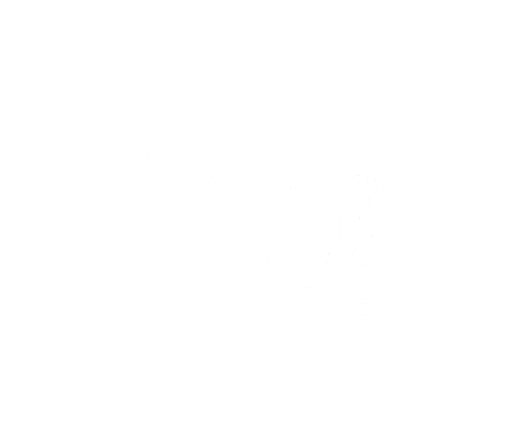 Dual Stub Pistols - Darktide WH40k